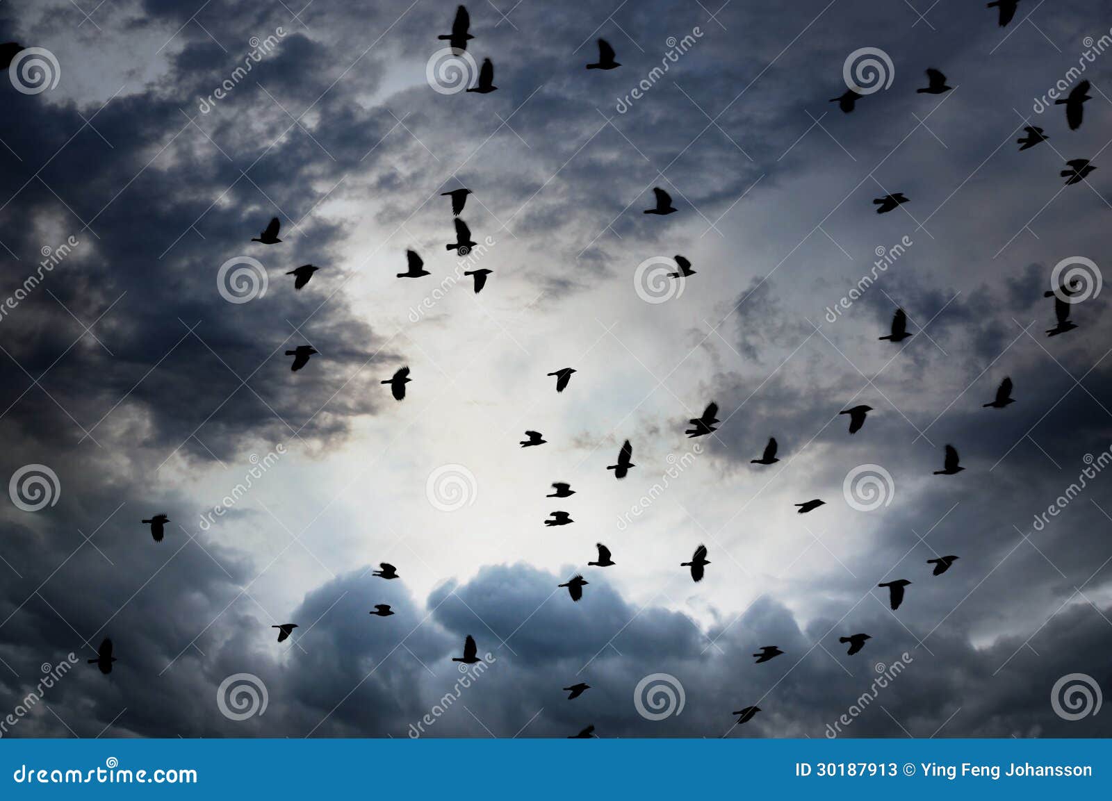 Multitud de grajos imagen de archivo. Imagen de azul - 30187913