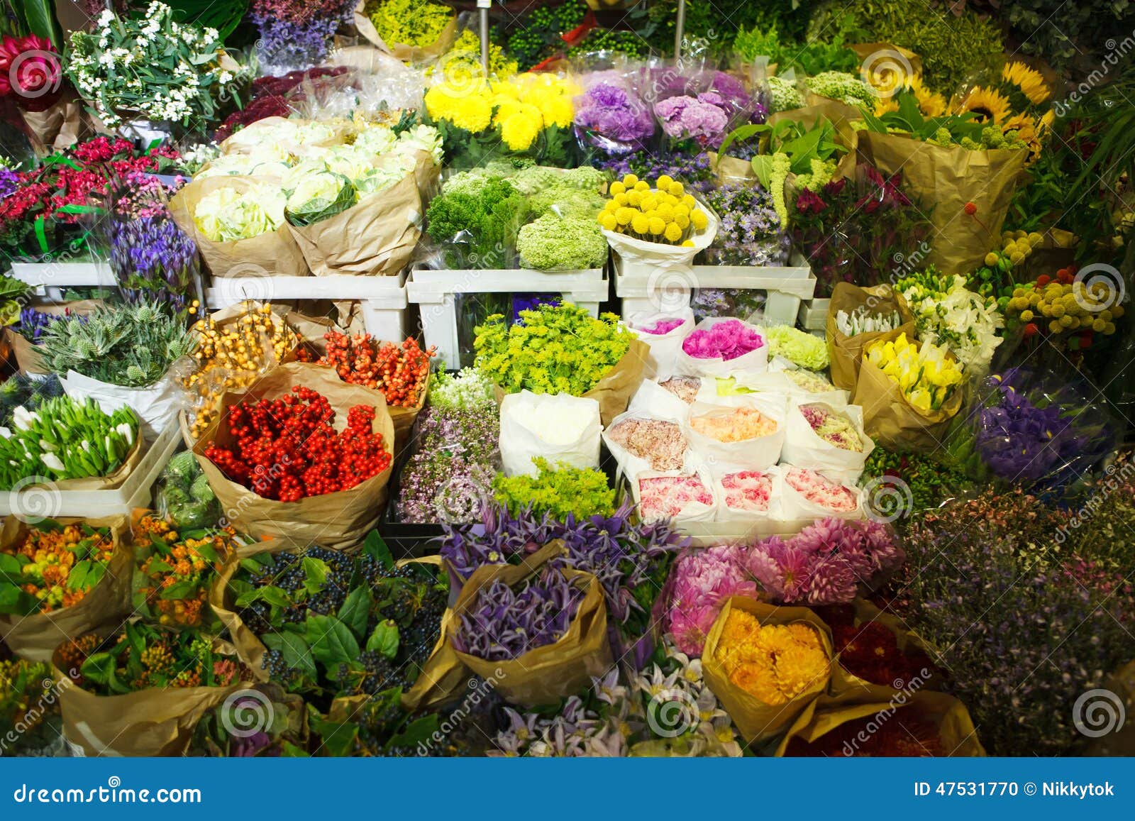 Multitude of color flowers stock photo. Image of production - 47531770