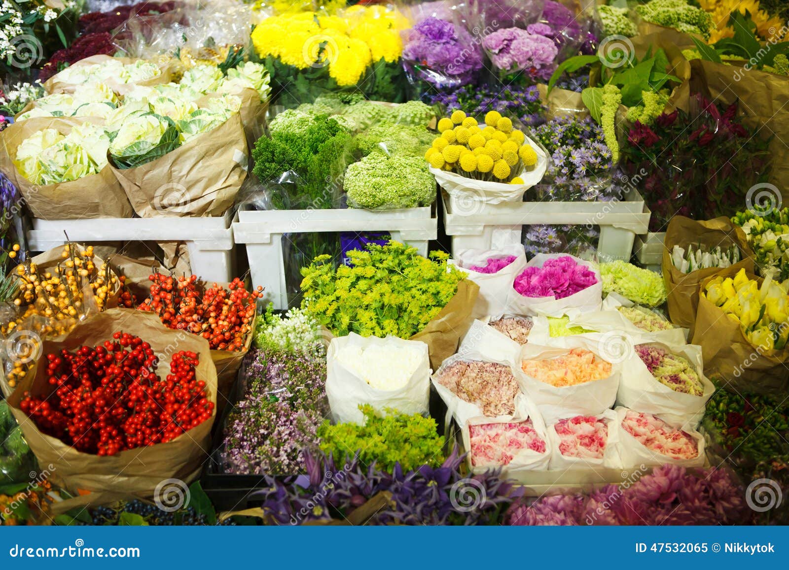 Multitude of color flowers stock image. Image of plants - 47532065