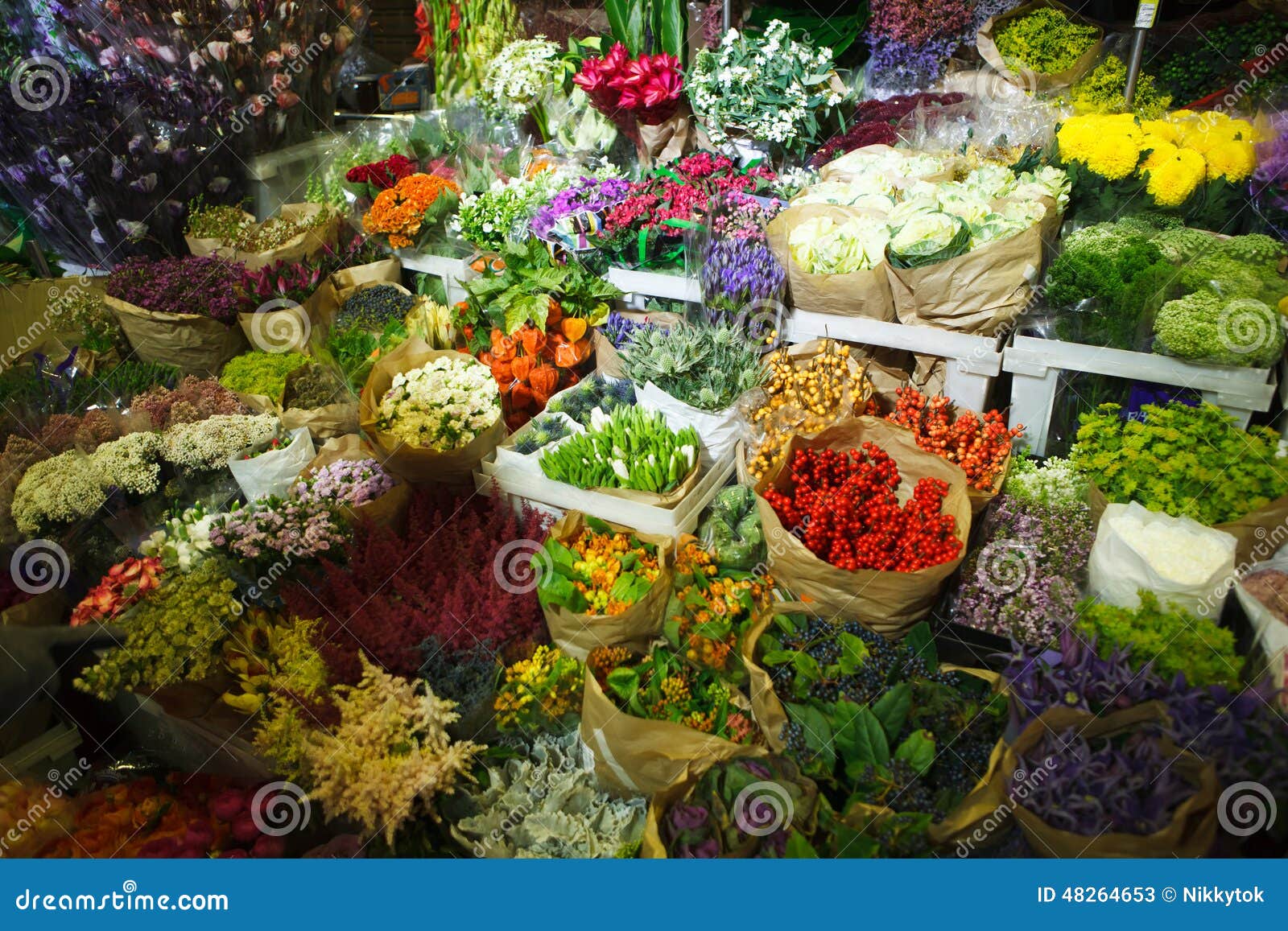 Multitude of color flowers stock image. Image of nature - 48264653