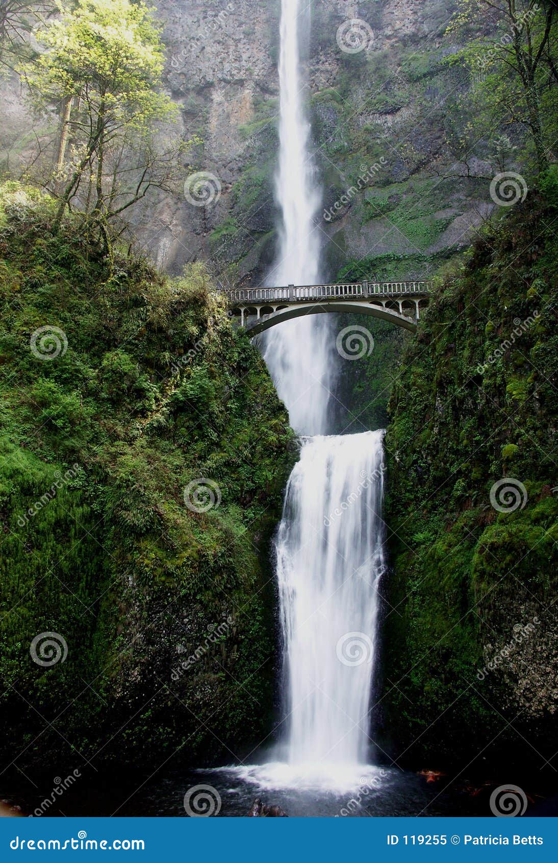 Multnomah Falls Royalty-Free Stock Photography | CartoonDealer.com #119255