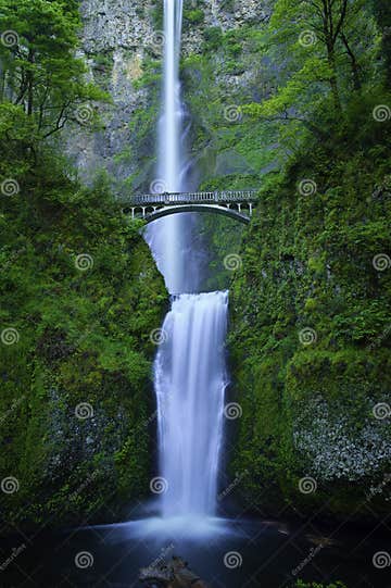 Multnomah Falls stock image. Image of falls, bridge, spring - 21190765