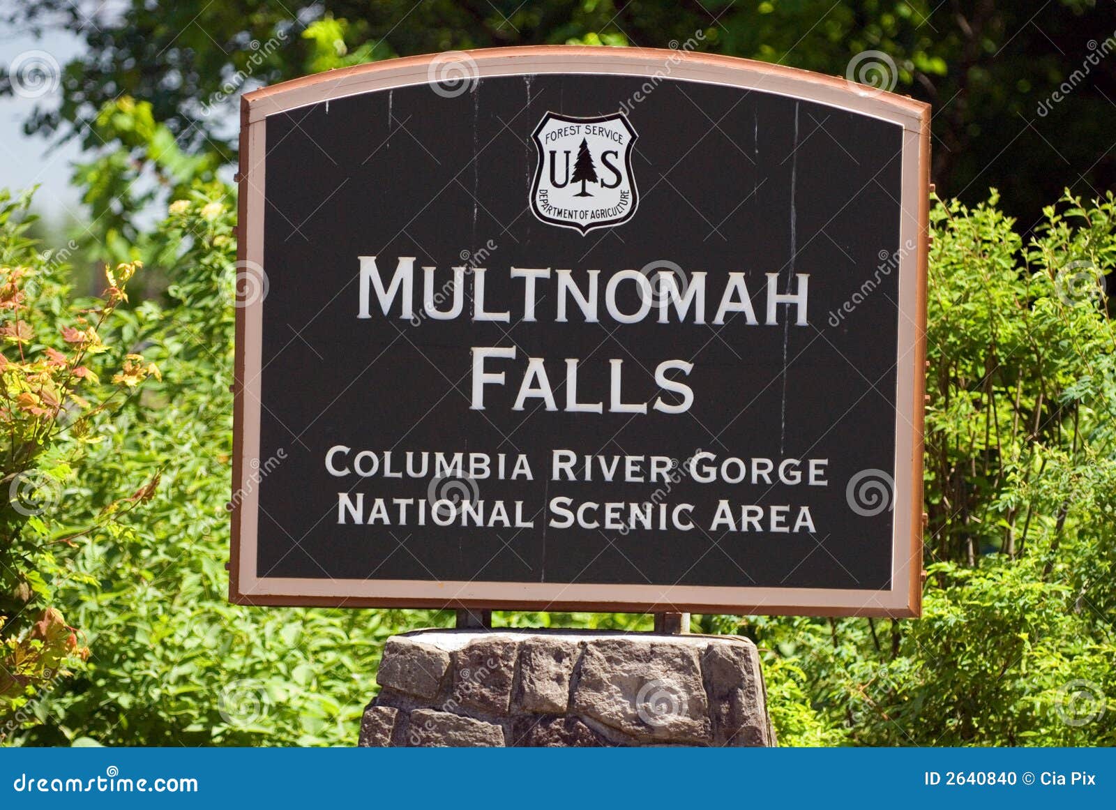 Multnomah falls stock photo. Image of water, national - 2640840