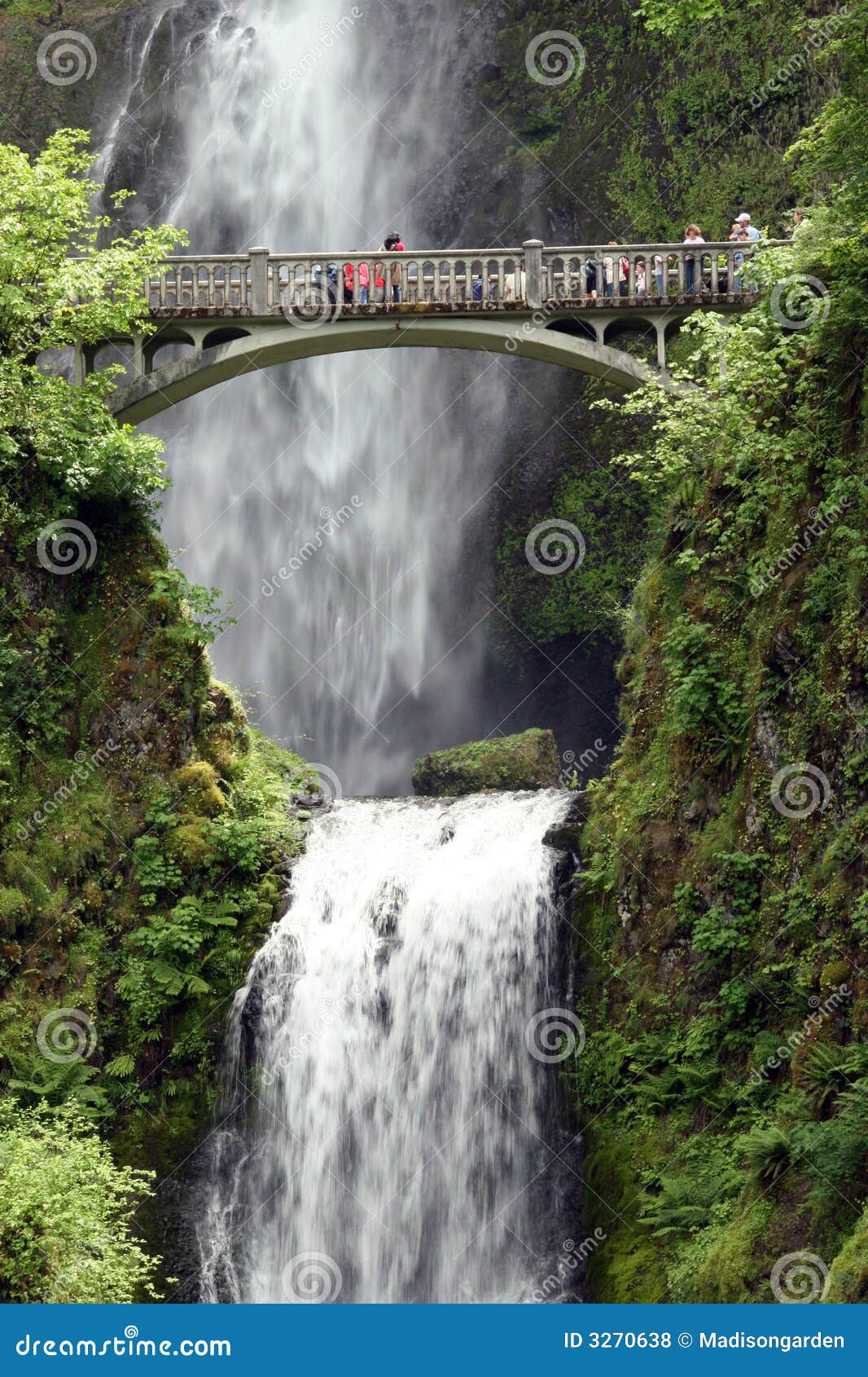 Multnomah Falls stock photo. Image of powerful, columbia - 3270638