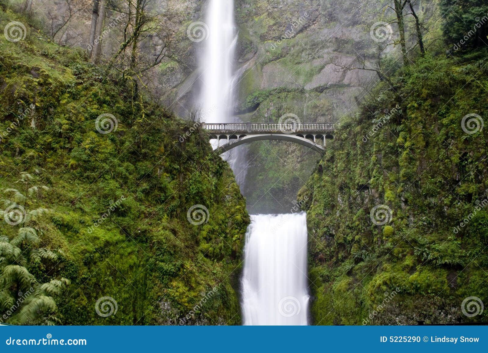 Multnomah Falls stock photo. Image of gorge, northwest - 5225290