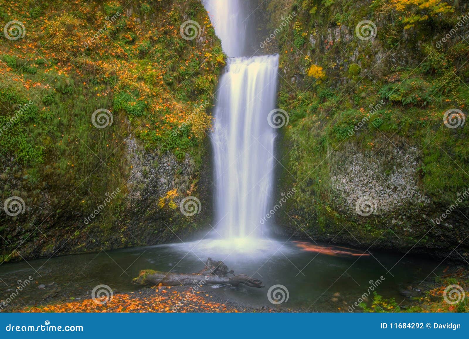 Multnomah Falls in Autumn stock photo. Image of fall - 11684292