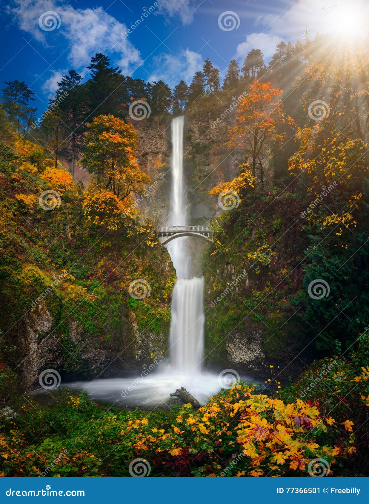Multnomah Falls in Autumn Colors Stock Image - Image of bridge, cliff ...