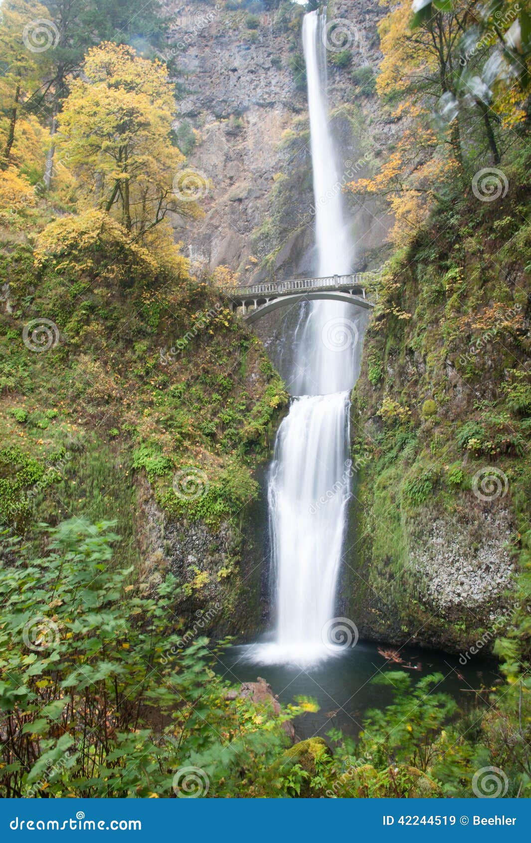 Multnomah Falls 3 stock image. Image of stream, multnomah - 42244519