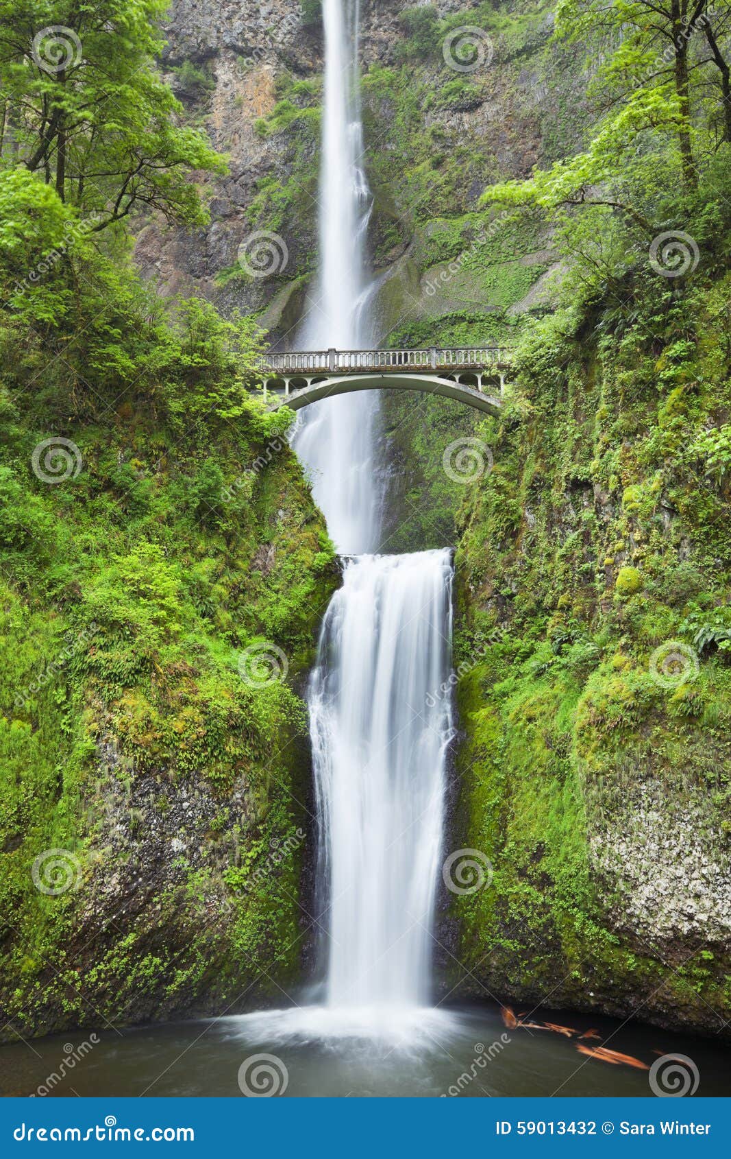 Multnomah Falls in the Columbia River Gorge, Oregon, USA Stock Photo ...
