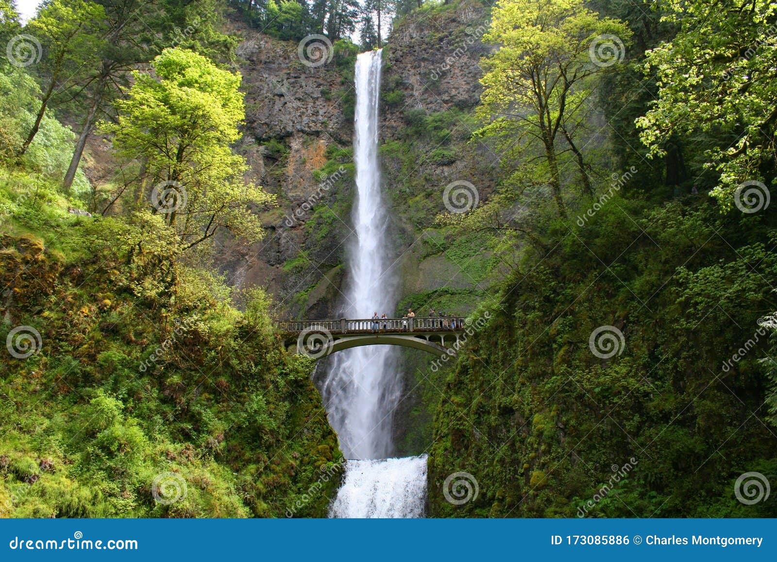 Multnomah Falls or 00134 stock photo. Image of multnomah - 173085886