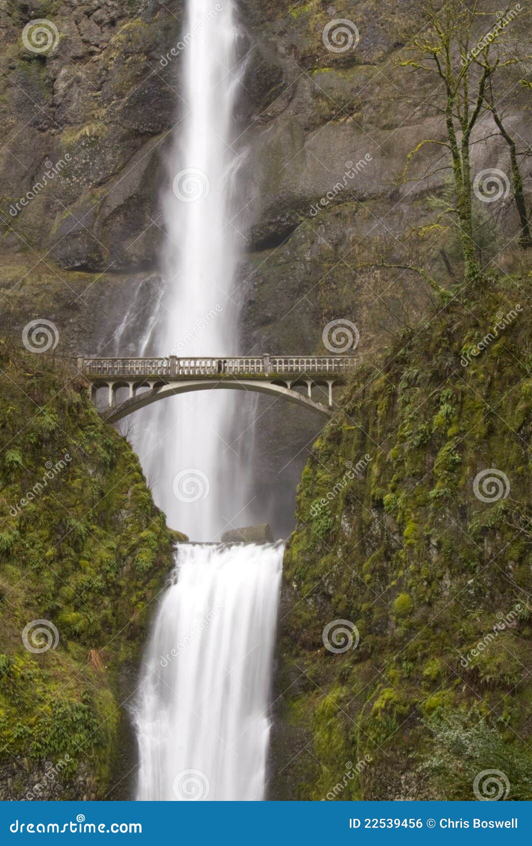 Bridge Multnomah Falls Columbia Gorge Vertical Stock Photo - Image of ...