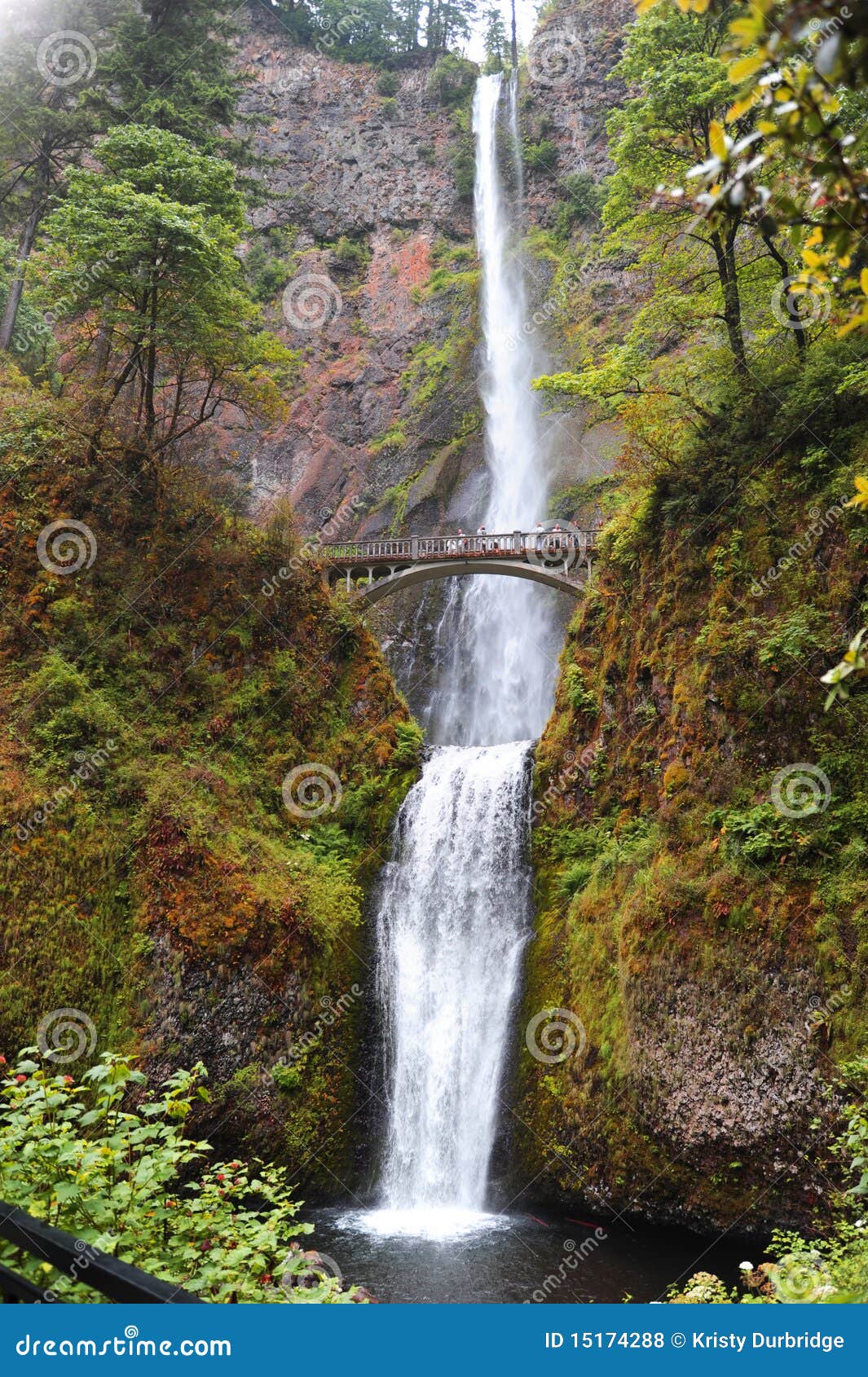 Royalty Free Images, Cartoons, Illustrations And Photos Designed By ...