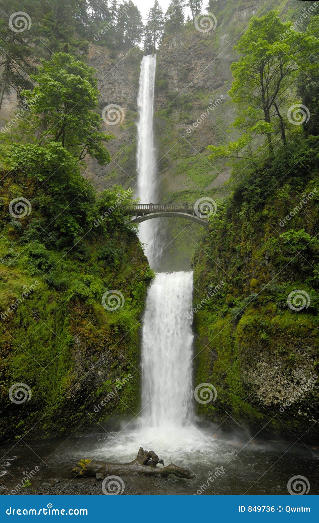 Multnomah falls oregon stock photo. Image of nature, columbia - 849736