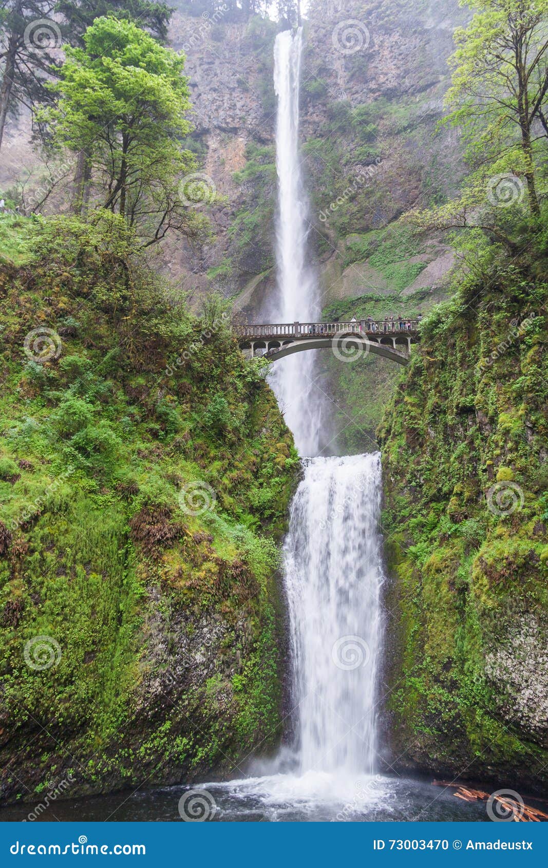 Multnomah Falls Oregon USA stock photo. Image of spring - 73003470