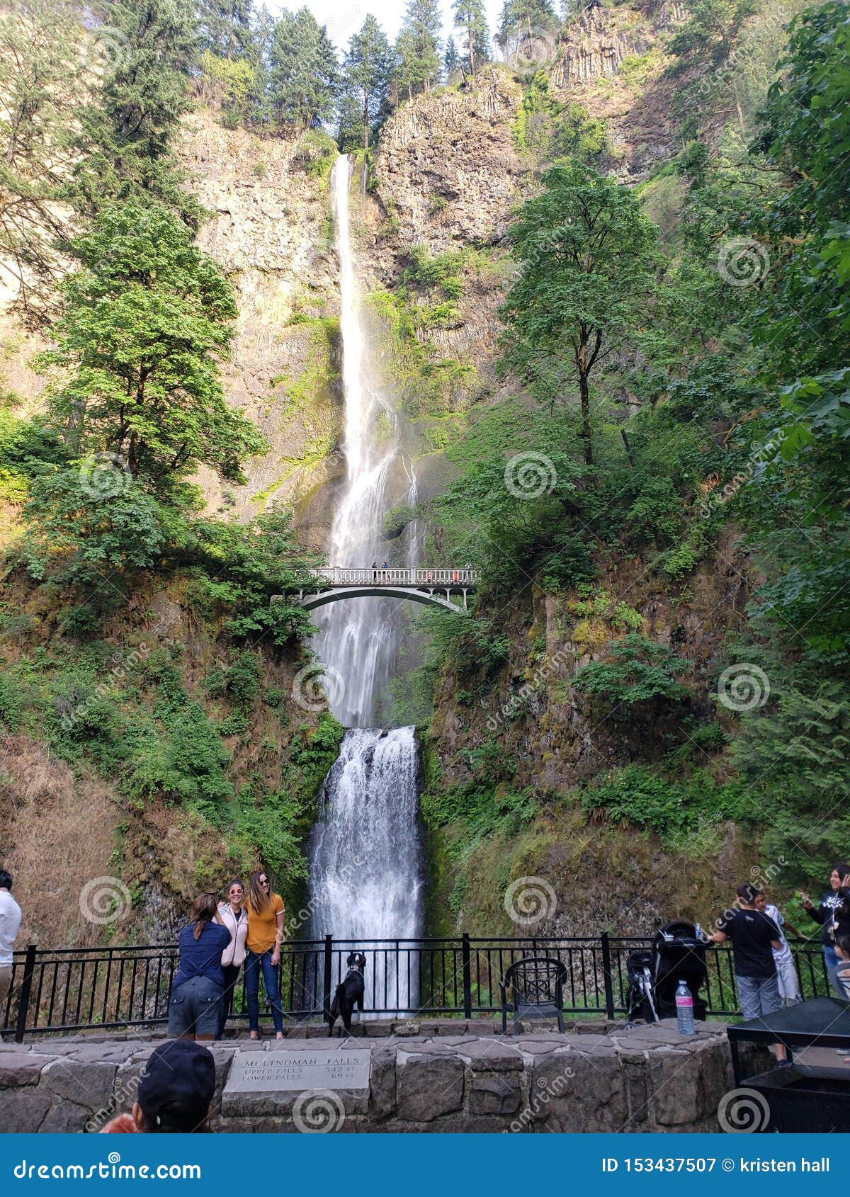 Multnomah falls oregon editorial photography. Image of waterfall ...
