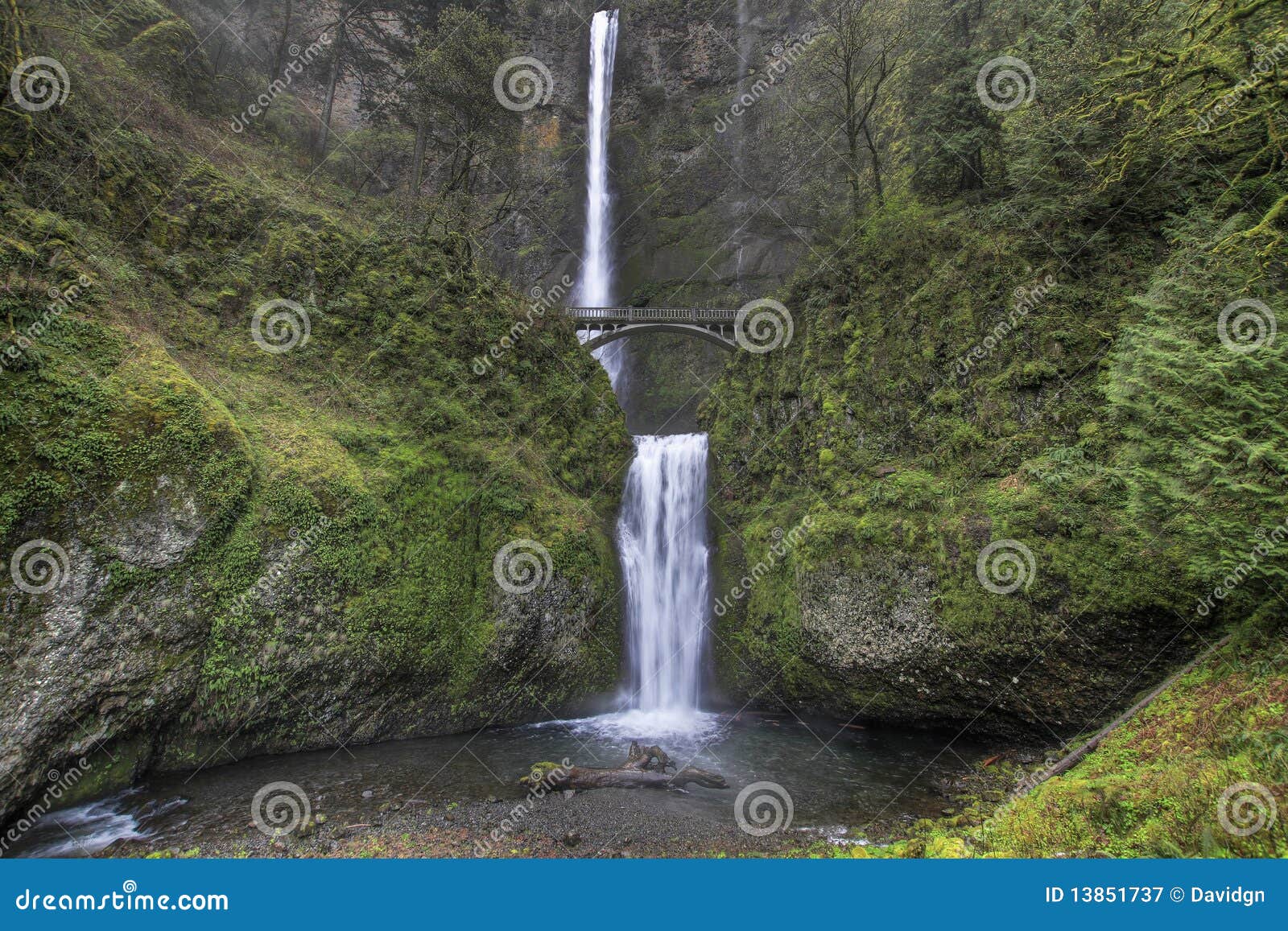 Multnomah Falls in Spring stock image. Image of trees - 13851737