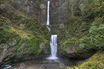 Multnomah Falls in Spring stock image. Image of trees - 13851737