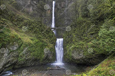 Multnomah Falls in Spring stock image. Image of trees - 13851737