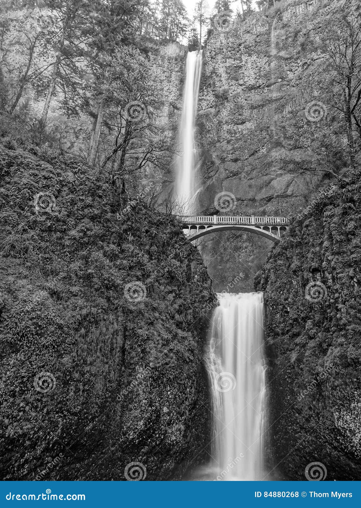 Multnomah Falls View stock photo. Image of forest, creek - 84880268