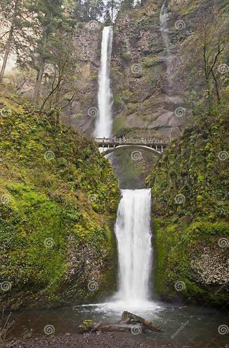 Multnomah Falls with Walk Bridge Stock Image - Image of falls, forest ...