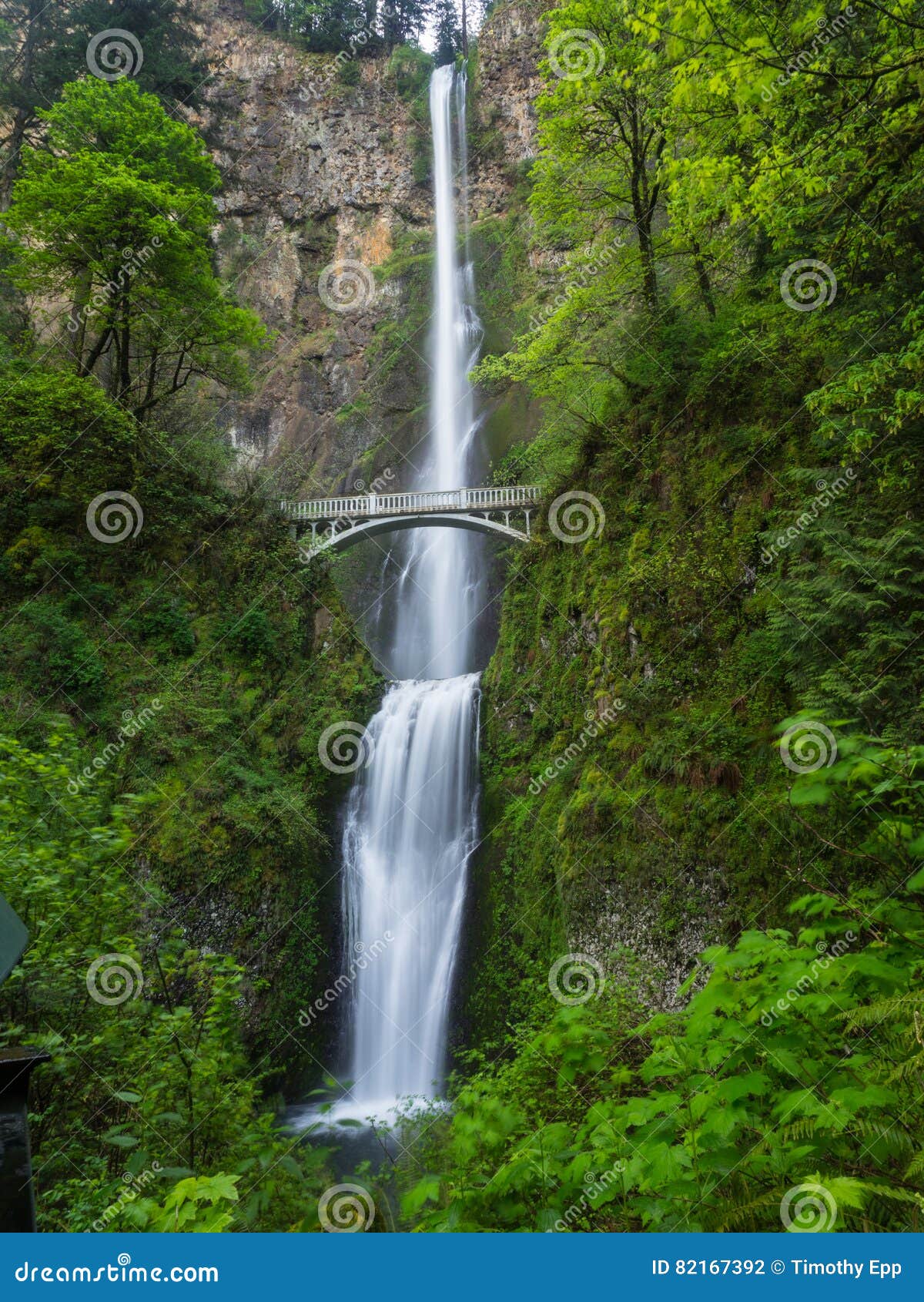Multnomah Upper and Lower Falls Stock Photo - Image of gorge ...