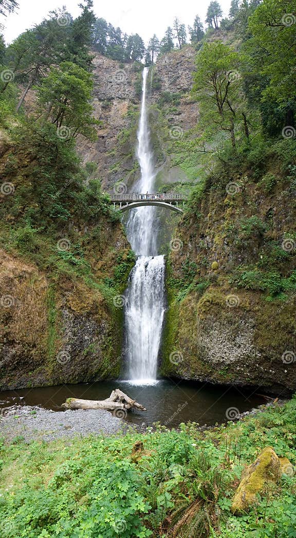 Multnomah Waterfalls Oregon Stock Photo - Image of nature, multnomah ...