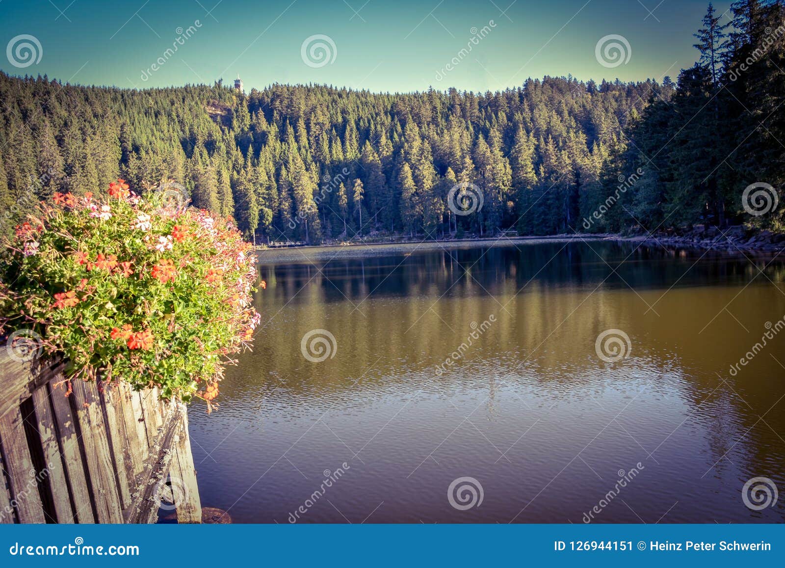 Mummelsee im Schwarzwald stockbild. Bild von park, holz - 126944151