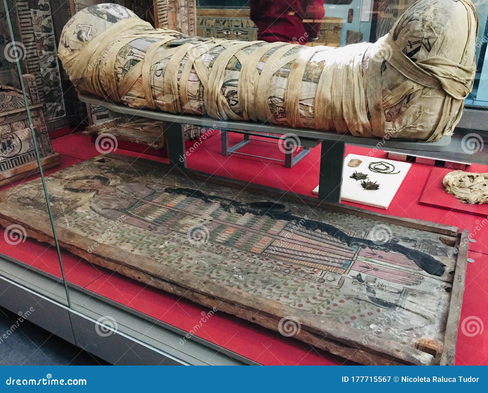 Egypt Mummies Cleopatra