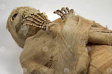Mummy stock image. Image of remains, undead, horror, dead - 24607