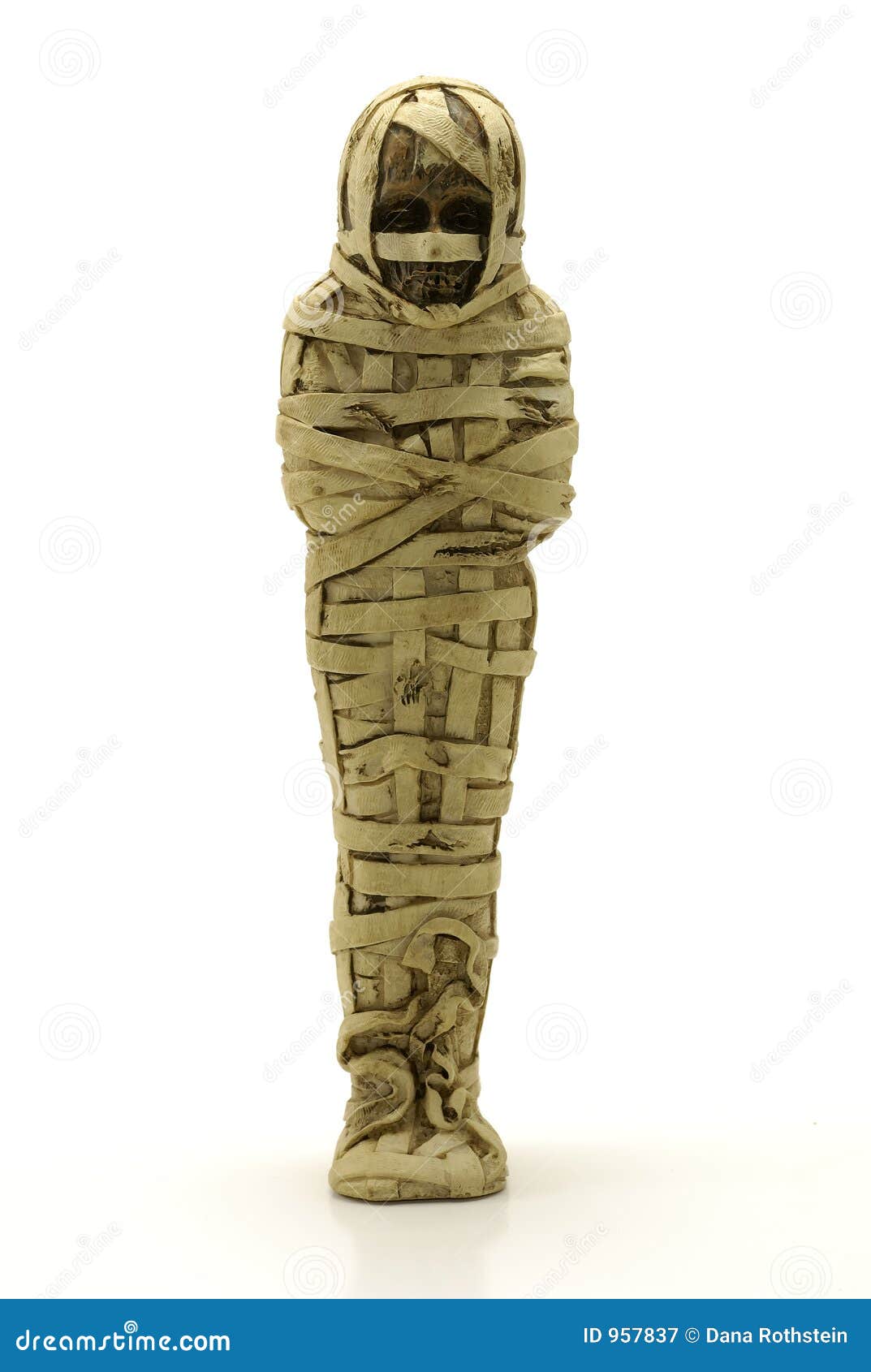 Mummy stock image. Image of tomb, skeleton, research, wrapped - 957837