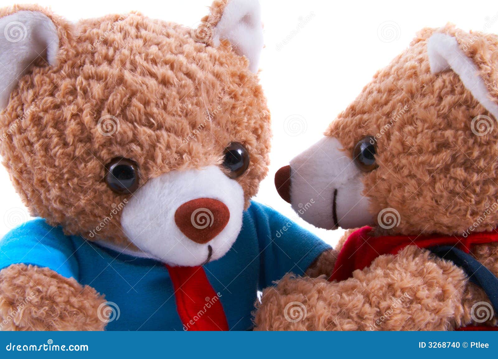 Mummy & Daddy Teddy Bears Stock Photo - Image of close, lace: 3268740