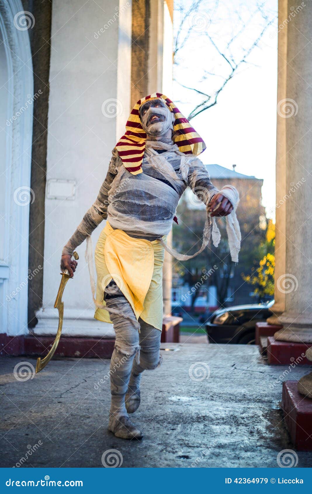 Mummy is stock image. Image of bandage, masquerade, dead - 42364979