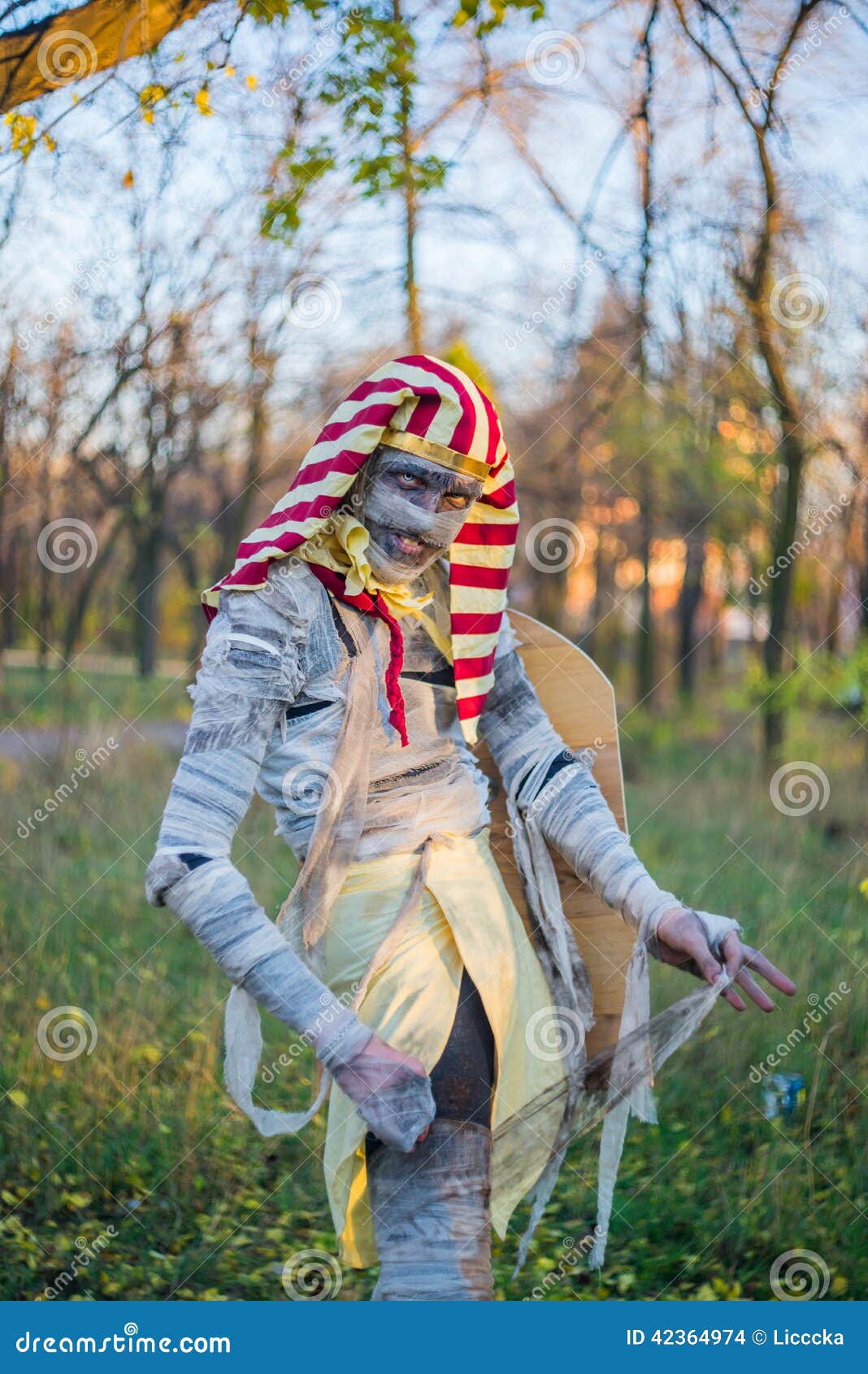 The Mummy stock photo. Image of portrait, dangerous, corpse - 42364974