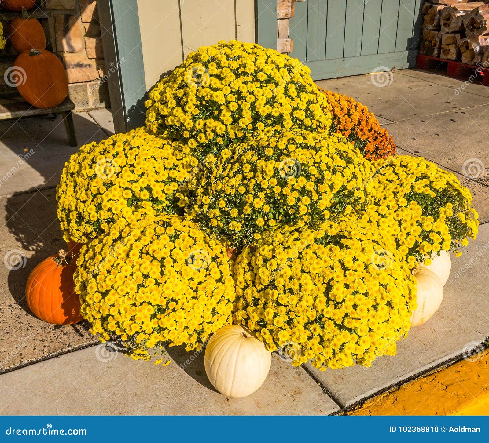 Mums displayed in front of a store for sale