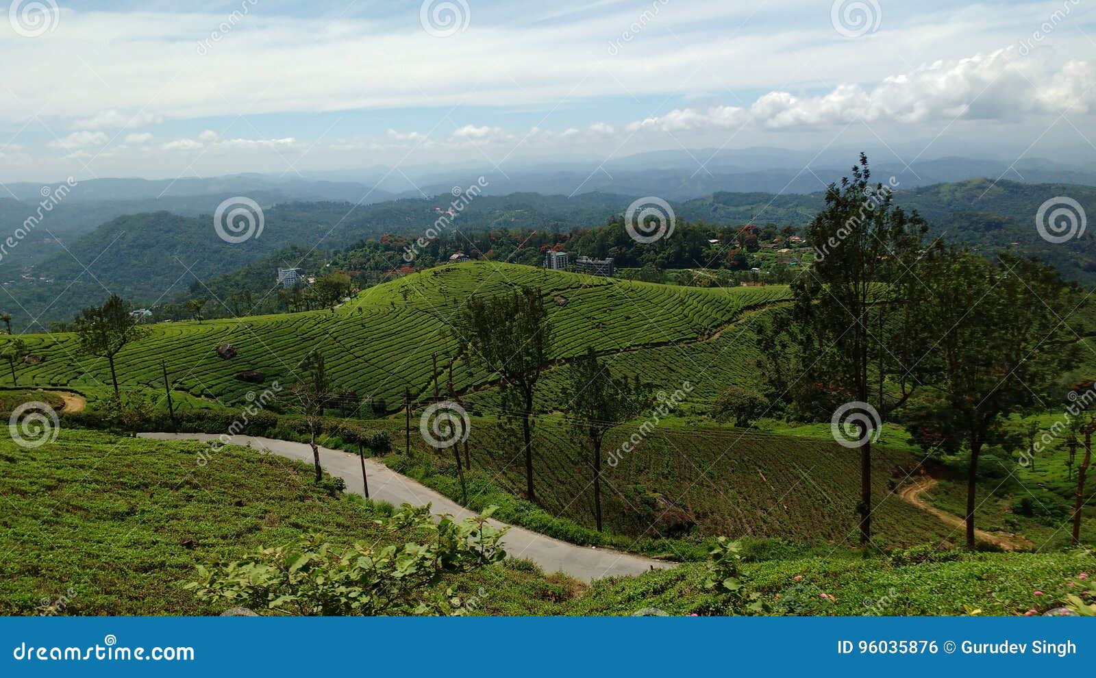 Munar stock photo. Image of india, plantation, kerala - 96035876