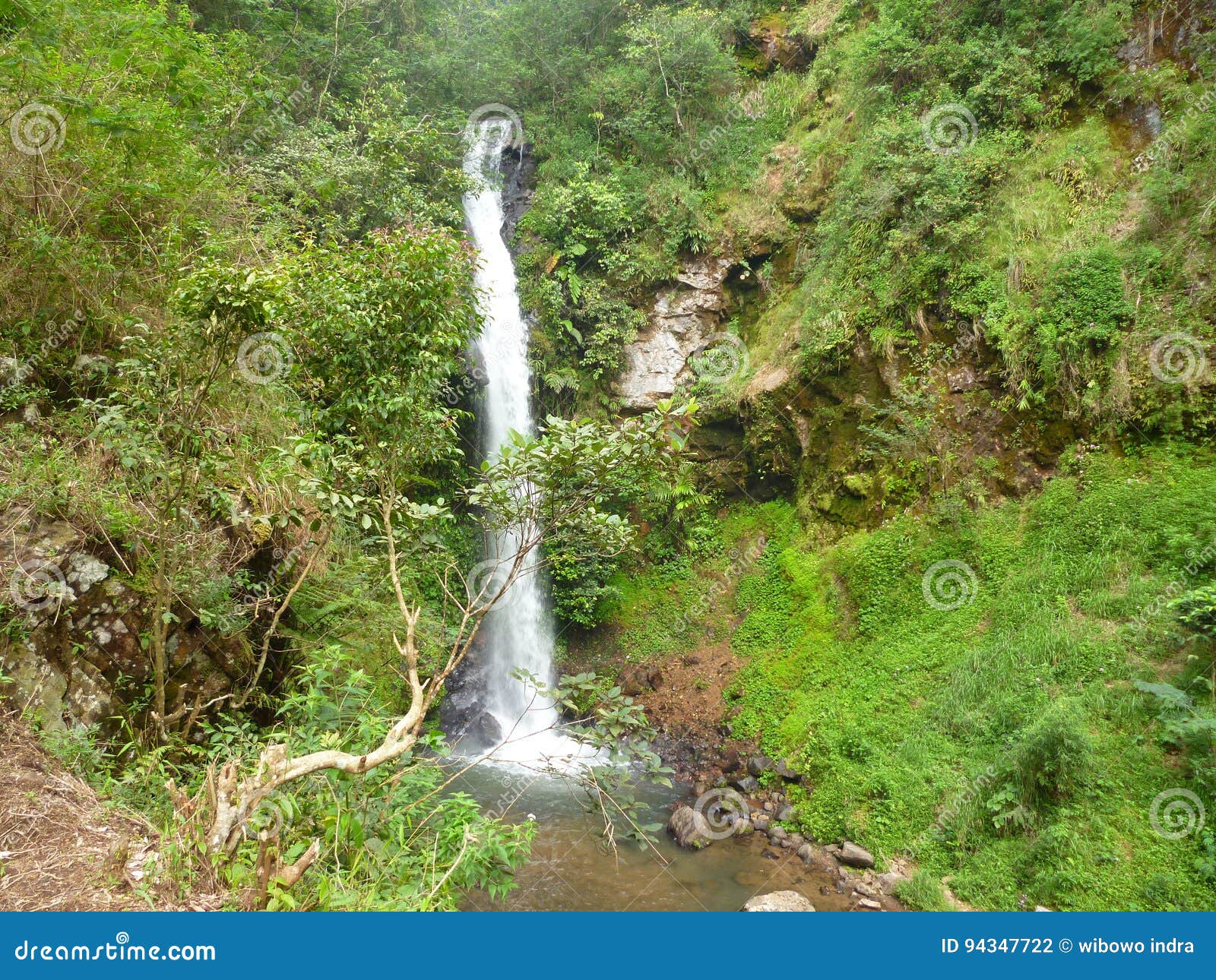 Muncar& X27;s Waterfall Stock Photo - Image of java, waterfall: 94347722