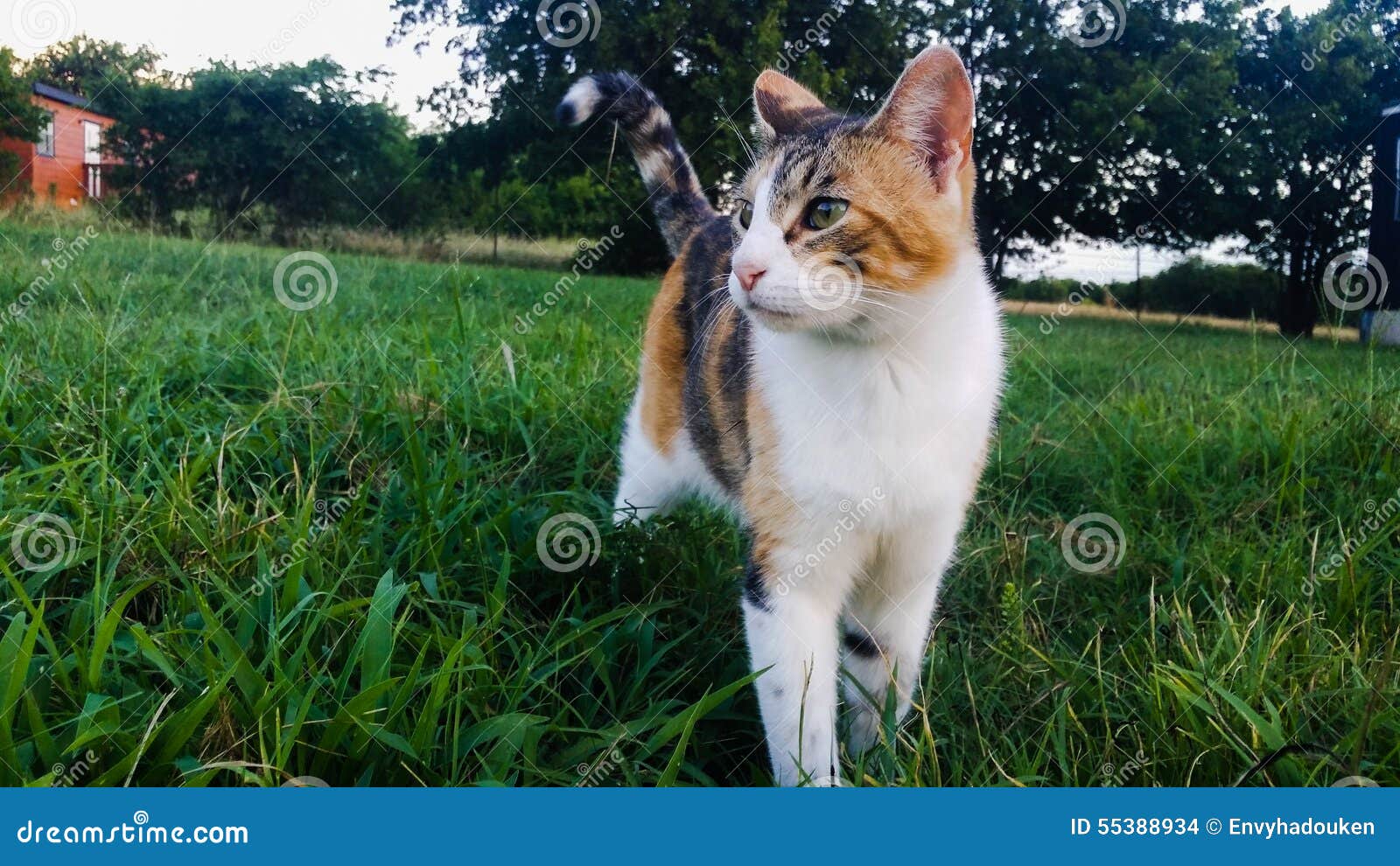 223 Munchie Stock Photos - Free & Royalty-Free Stock Photos from Dreamstime