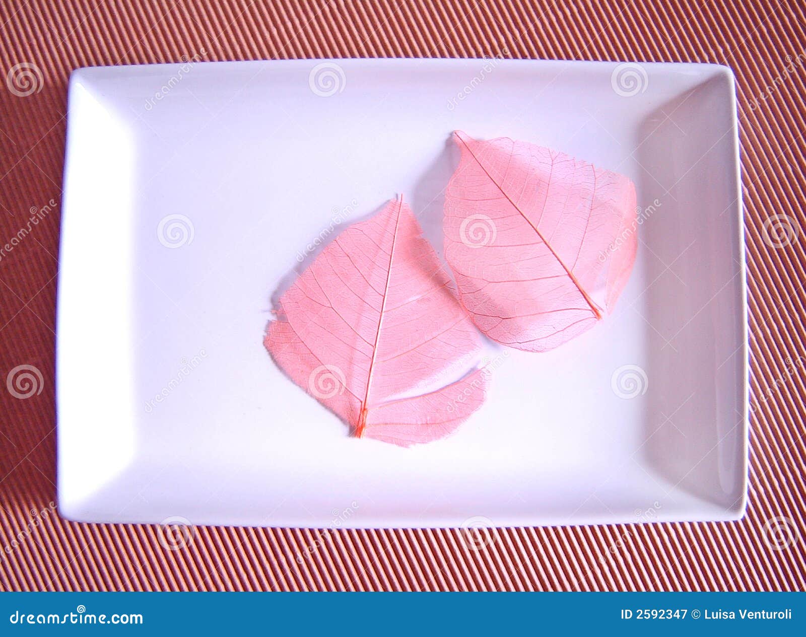 Mundo cor-de-rosa imagem de stock. Imagem de relaxar, rosa - 2592347