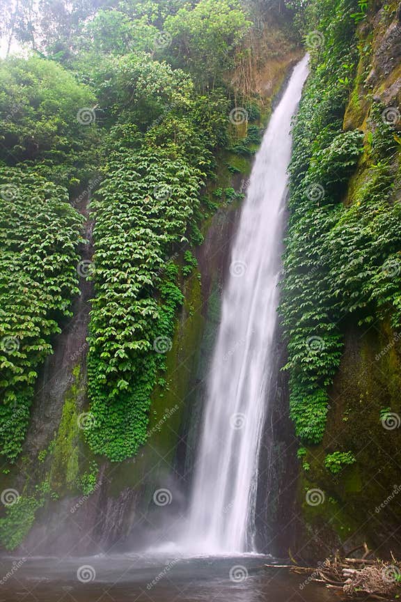 Munduk waterfall stock image. Image of quiet, asian, flowing - 21879027
