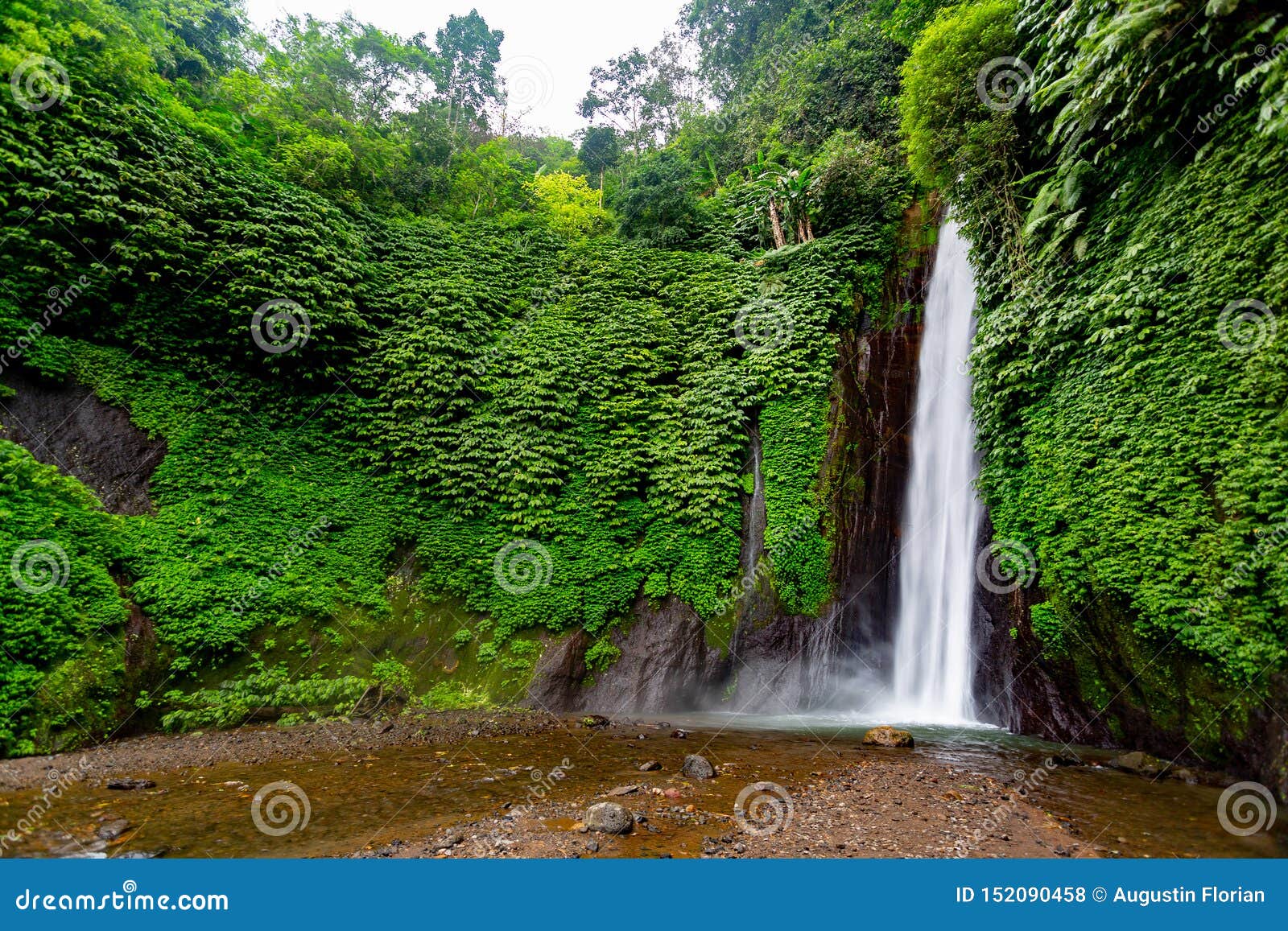 Munduk waterfall in Bali stock photo. Image of holiday - 152090458
