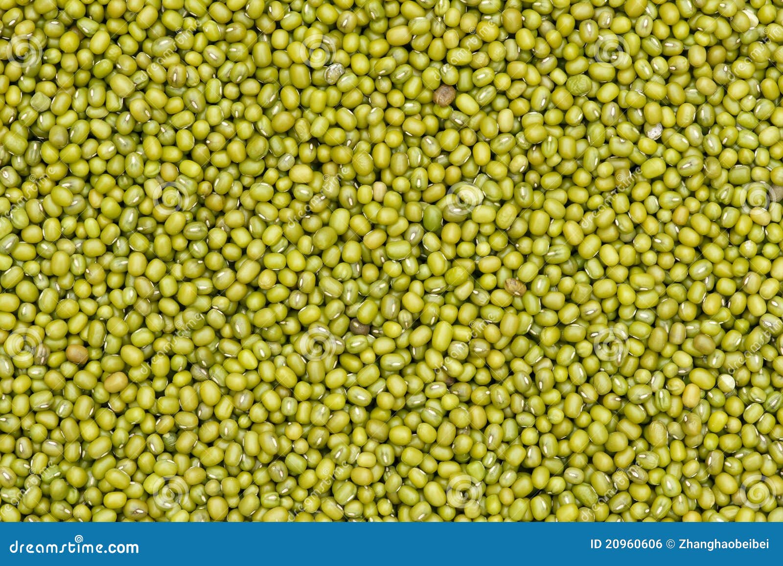 Mung bean stock photo. Image of green, background, grains - 20960606