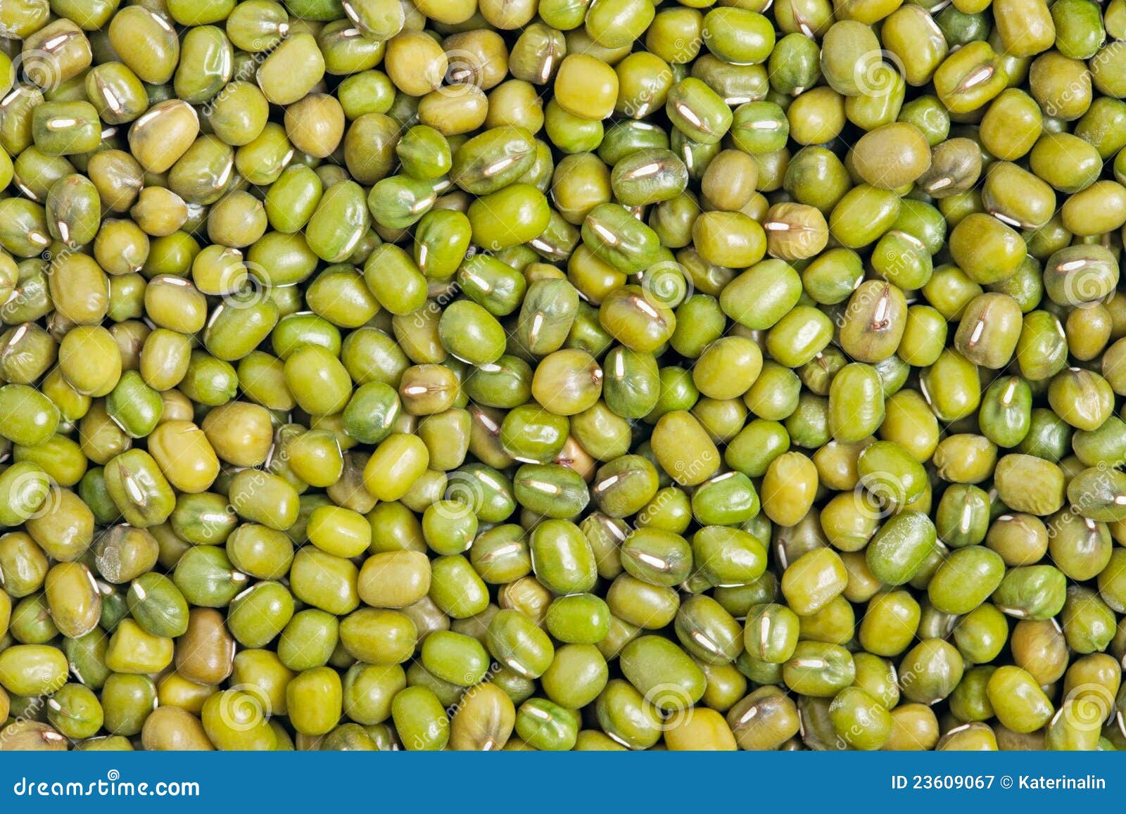 Mung Bean Royalty Free Stock Photography - Image: 23609067