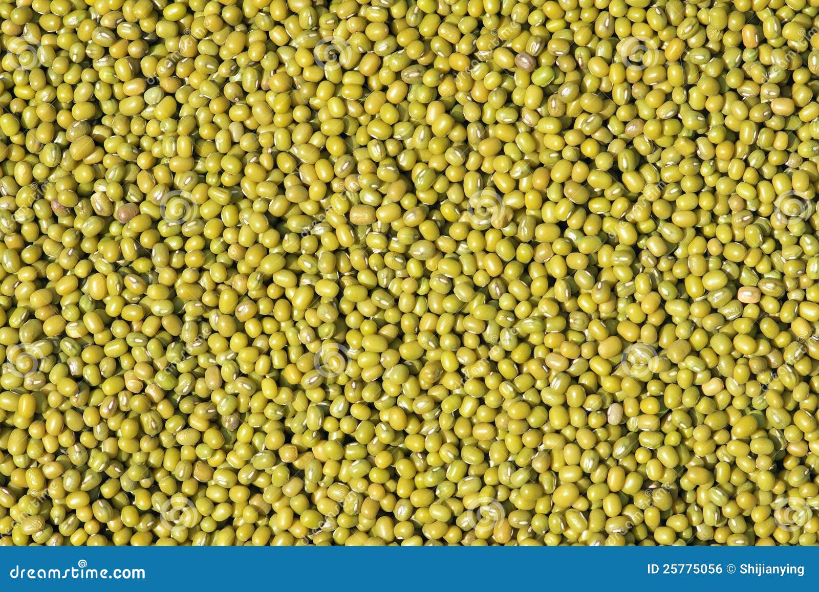 Mung bean stock photo. Image of mung, eating, crop, produce - 25775056