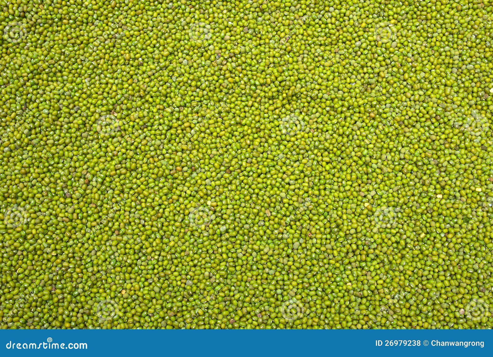 Mung bean stock photo. Image of food, color, fresh, seed - 26979238