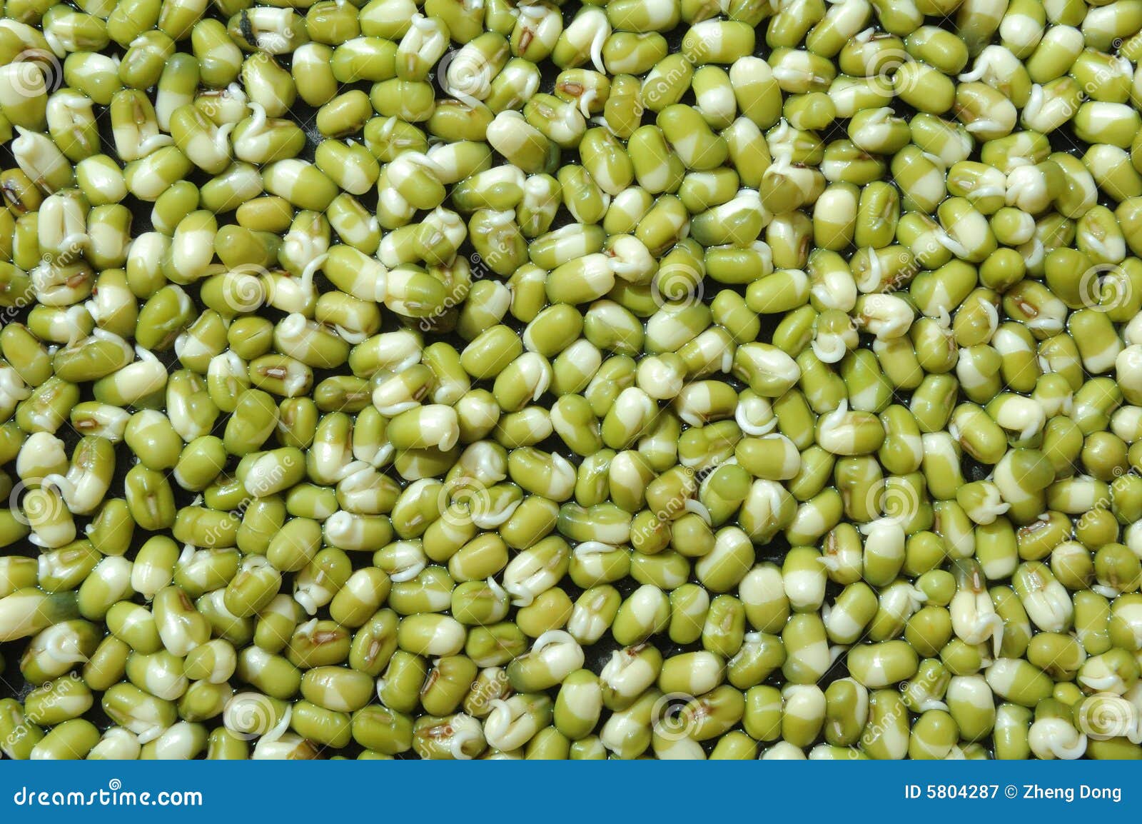 Mung Bean And Hull - Split Monk Bean 0n White Background Stock Photo ...