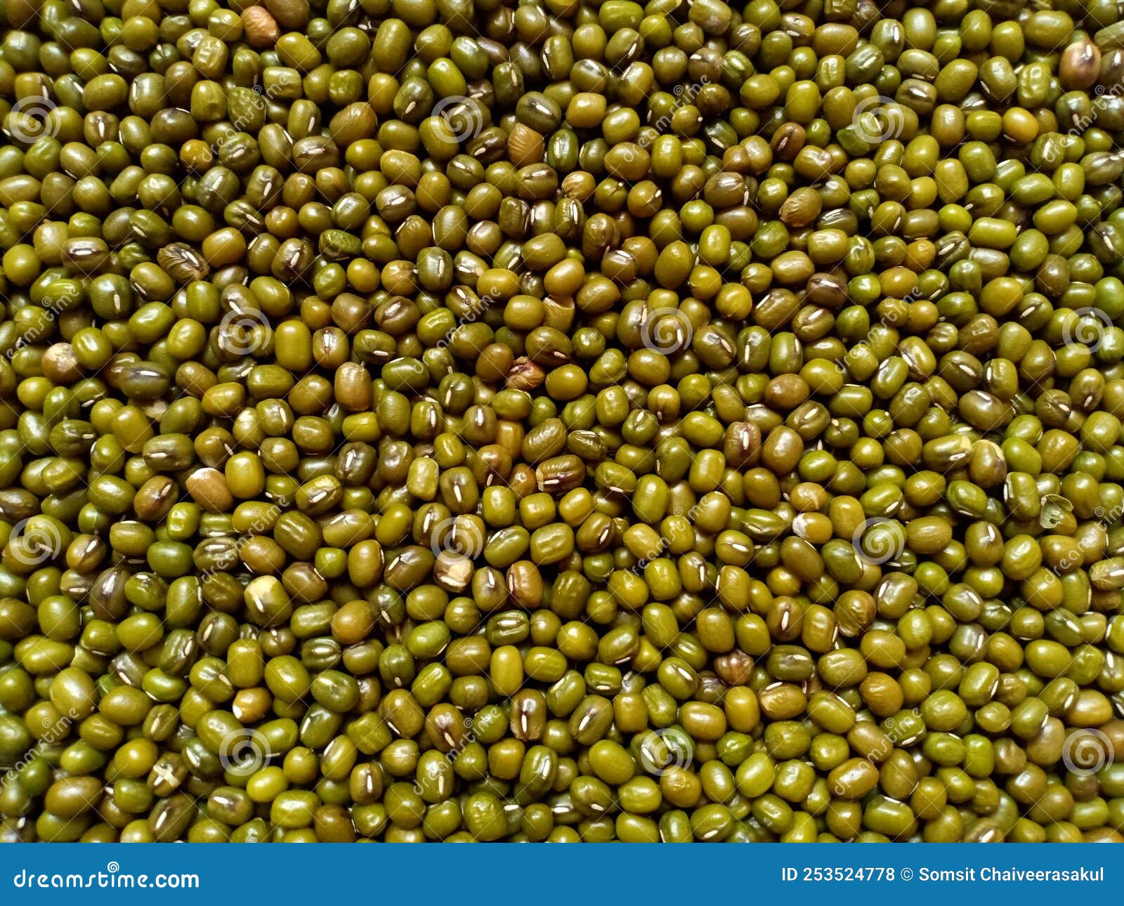 Mung Bean Background and Texture. Stock Photo - Image of agriculture ...