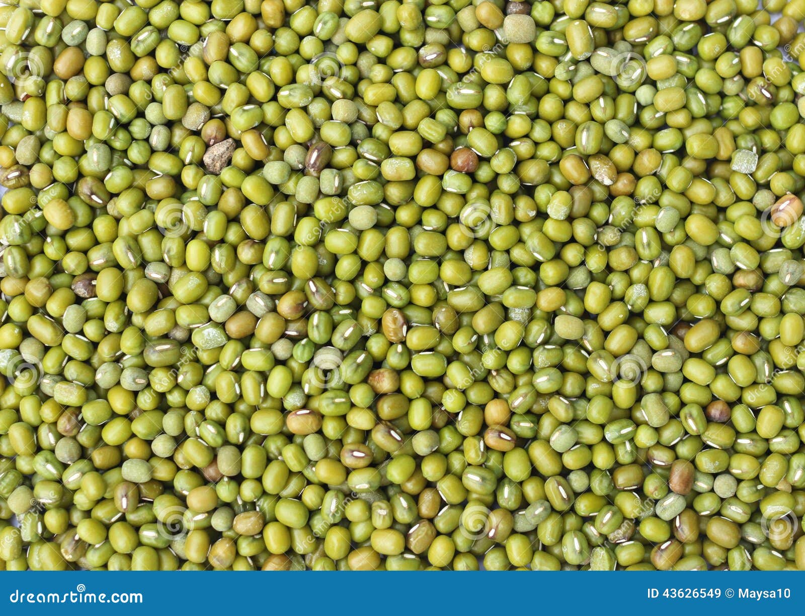 Mung bean stock image. Image of macro, fiber, color, healthy - 43626549
