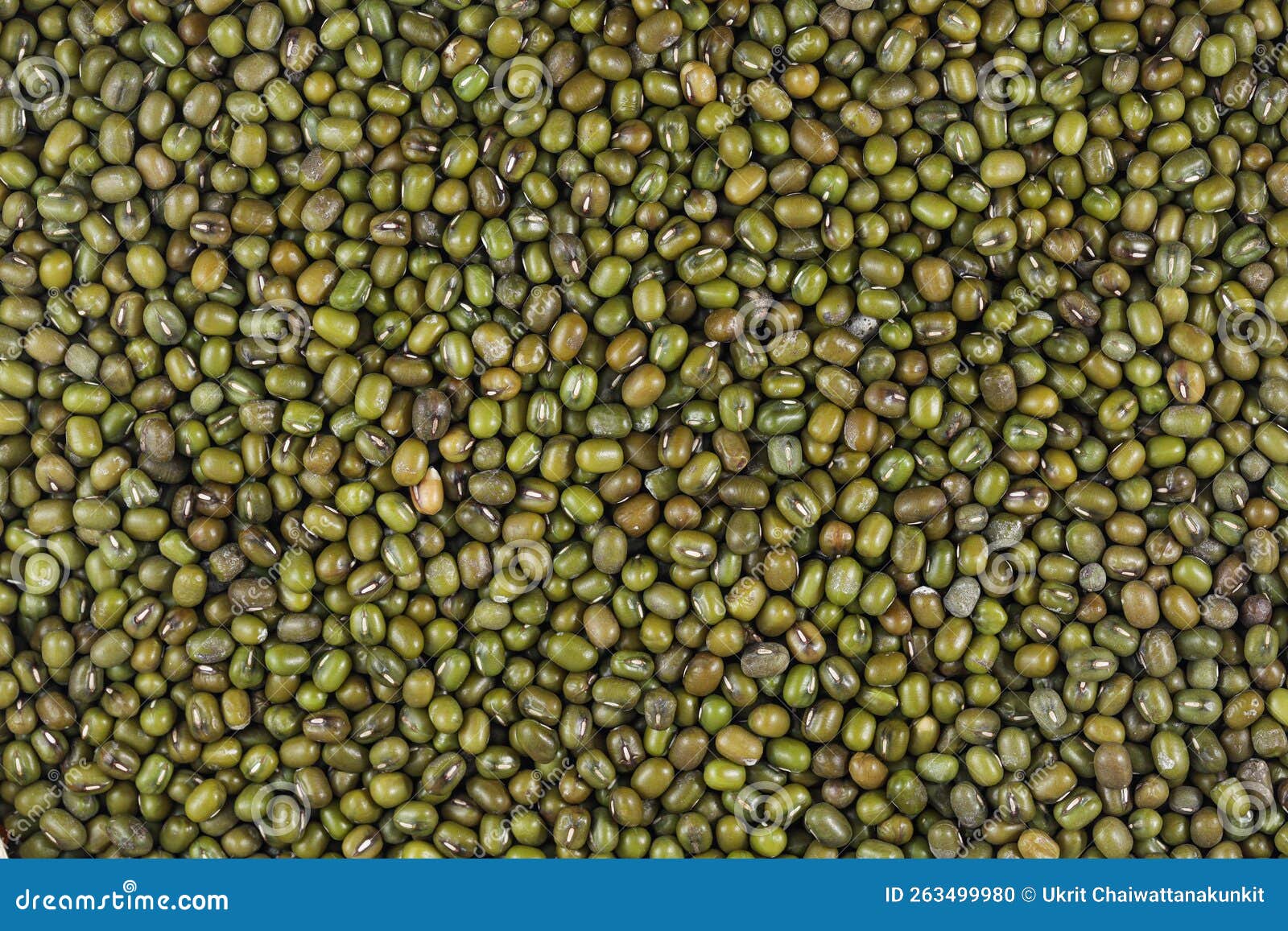 Mung Bean, Moong Bean, Green Bean, Green Gram Stock Photo - Image of ...