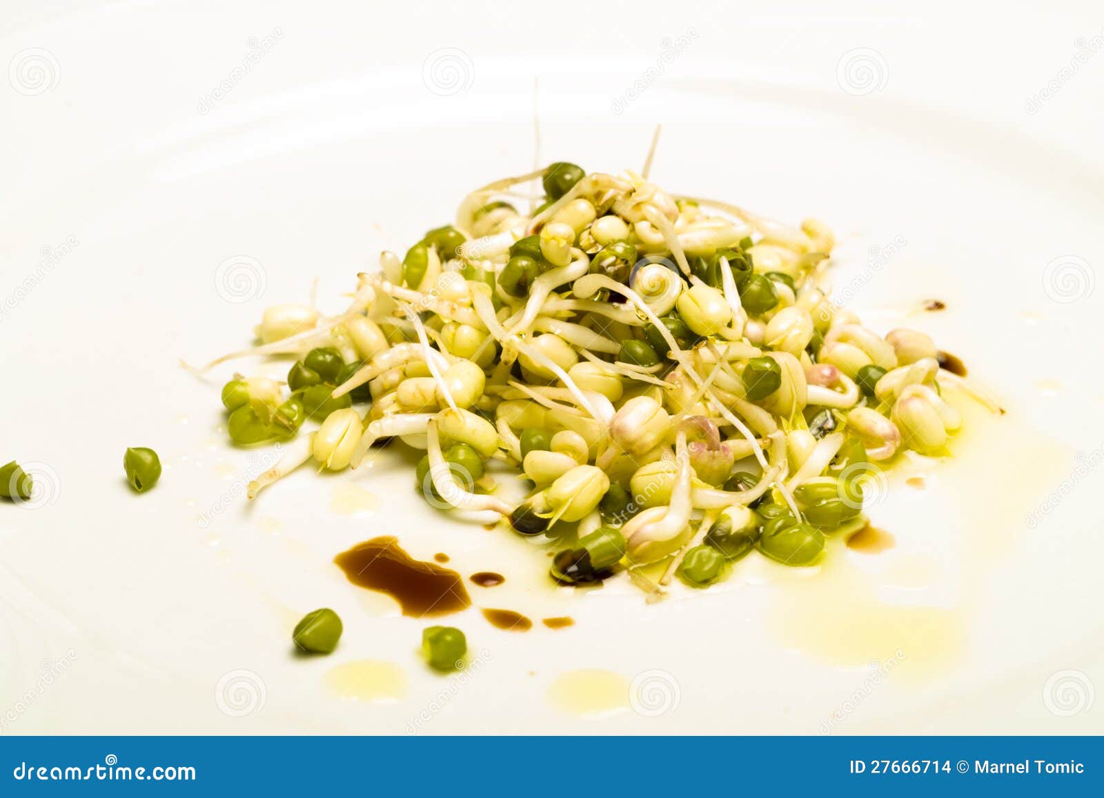Mung Bean Seed (Vigna Radiata) Salad Stock Photo - Image of macrobiotic ...