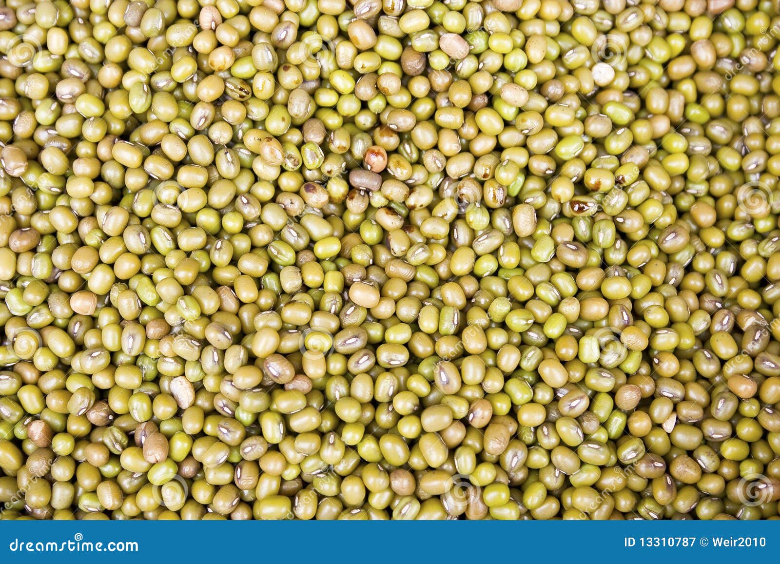 Mung bean seeds stock image. Image of mung, food, fruit - 13310787
